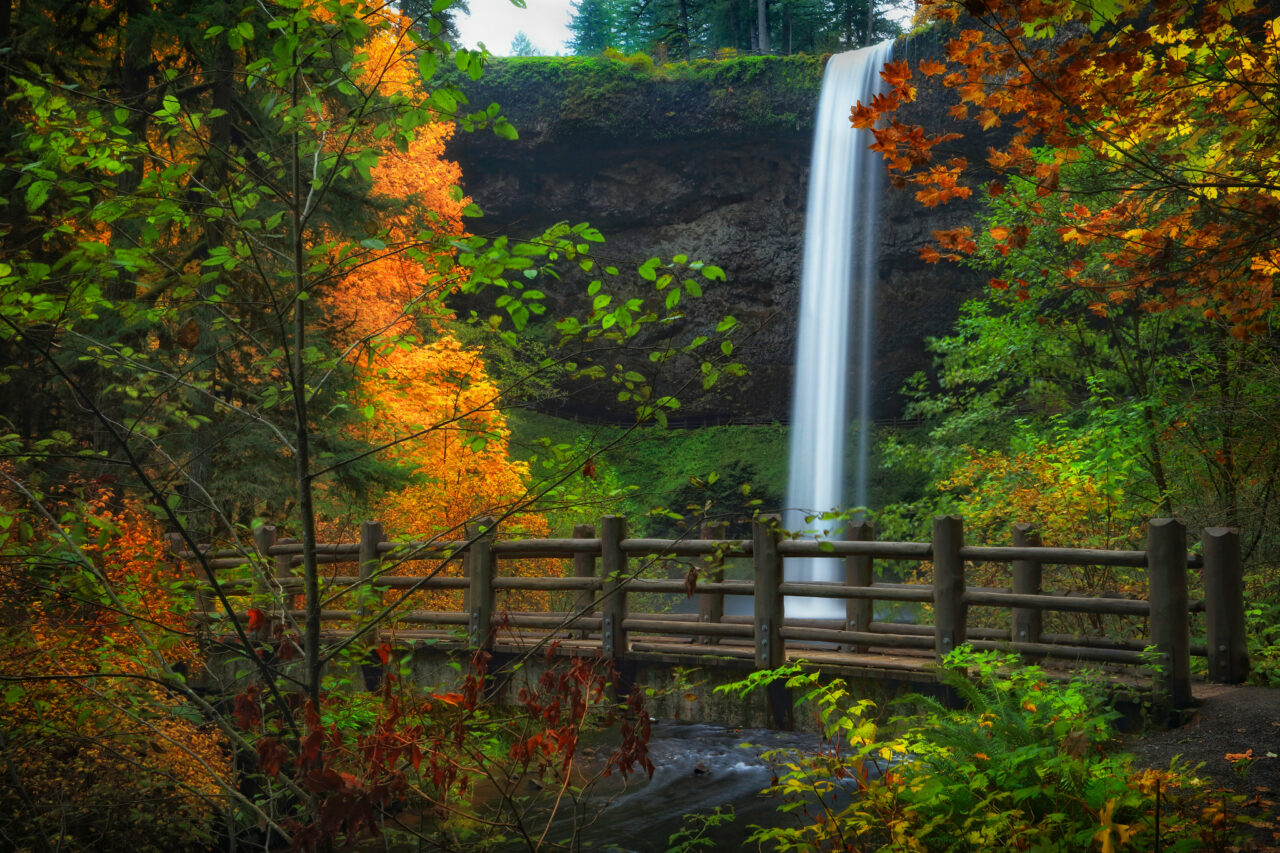 This Scenic Oregon Park Is a Must-Hike As It Bursts Into Vibrant Color ...