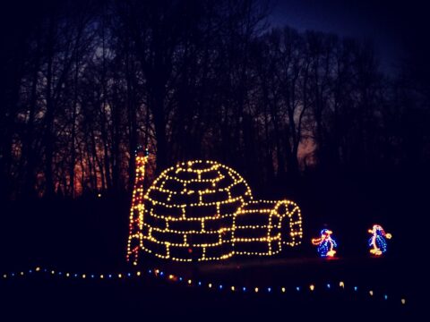 The Ultimate 2025 Guide to Christmas Lights in Oregon