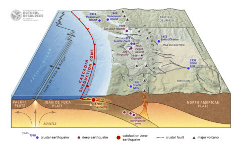 A Massive Earthquake Rocked The PNW Leaving Fascinating Evidence All ...