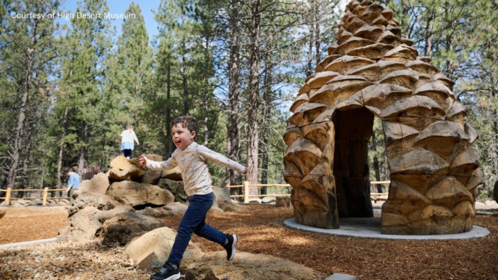 Bend’s High Desert Museum Set to Open Giant Pine Tree Playground This ...