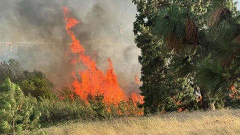 Heartbreak in the Gorge as Human-Caused Rowena Fire Destroys 49 Homes
