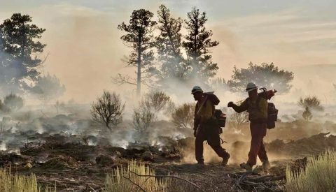 Oregon Officials Say Flat Fire Was Not a Homeless Camp But Many Remain ...