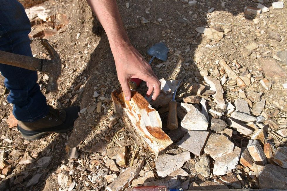 Unearth 30-Million-Year-Old Fossils Behind This Oregon High School