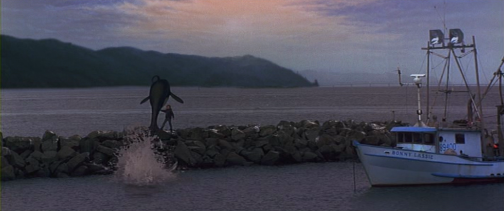 The Heartbreaking Story Of Keiko, The Real Orca Behind Free Willy And ...